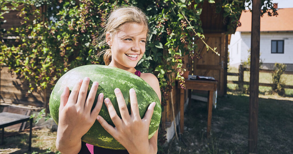 10 Steps To Choose A Watermelon - Benefits Of Stretching